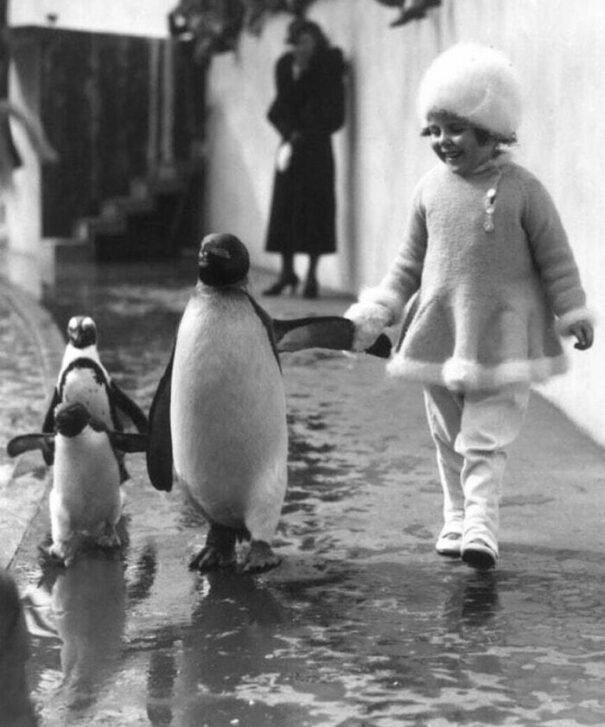 25 Interesting Historical Photos That Give A New Perspective Into The ...
