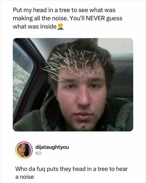 35 Of The Funniest Posts Shared On The ‘Faillgram’ Instagram Account ...