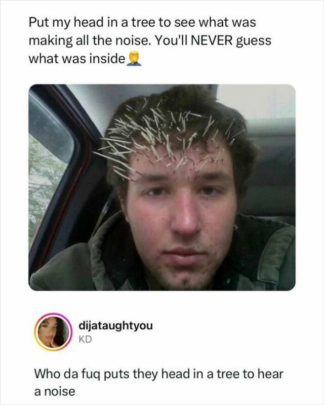 35 Of The Funniest Posts Shared On The ‘Faillgram’ Instagram Account ...