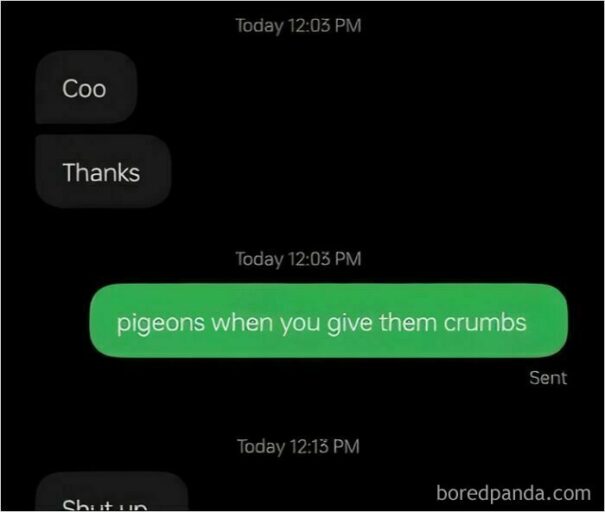 25 Of The Most Hilarious Texts Sent Or Received In 2024 | DeMilked