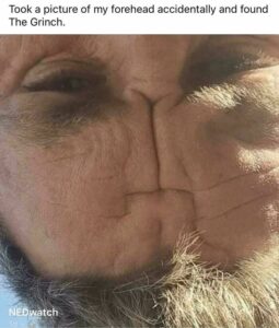 25 Confusing Photos Which Prove That Perspective Matters | DeMilked