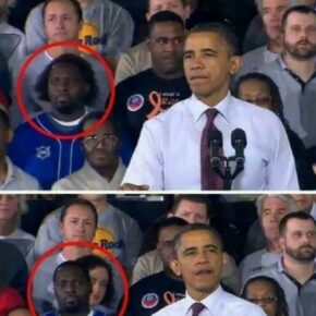 25 Confusing Photos Which Prove That Perspective Matters | DeMilked