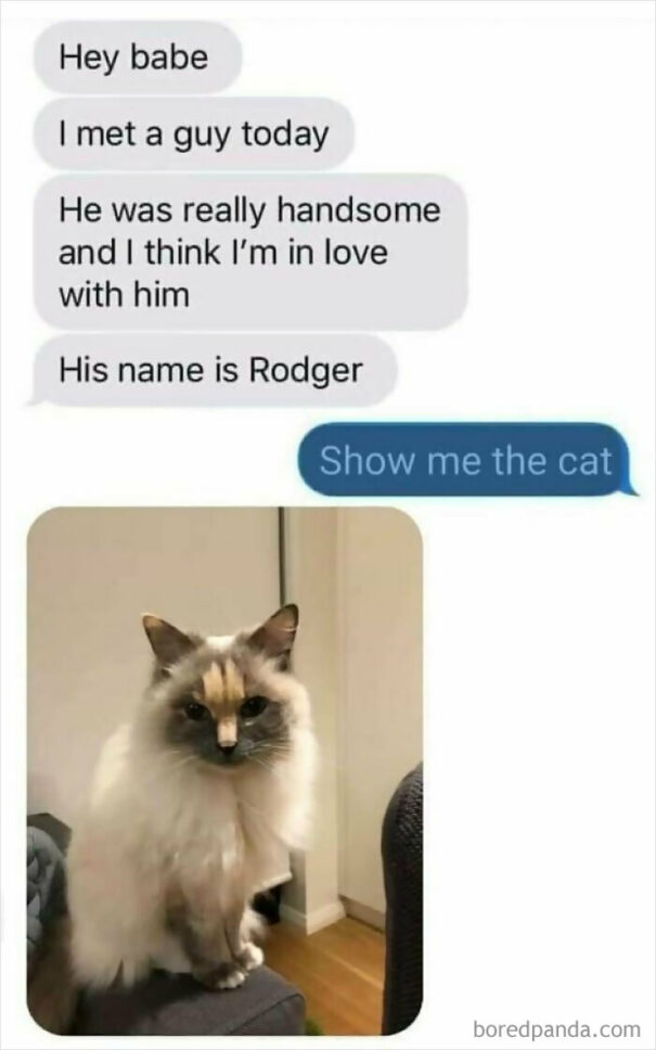35 Wholesome Animal Memes To Help You Forget About Your Troubles For A ...