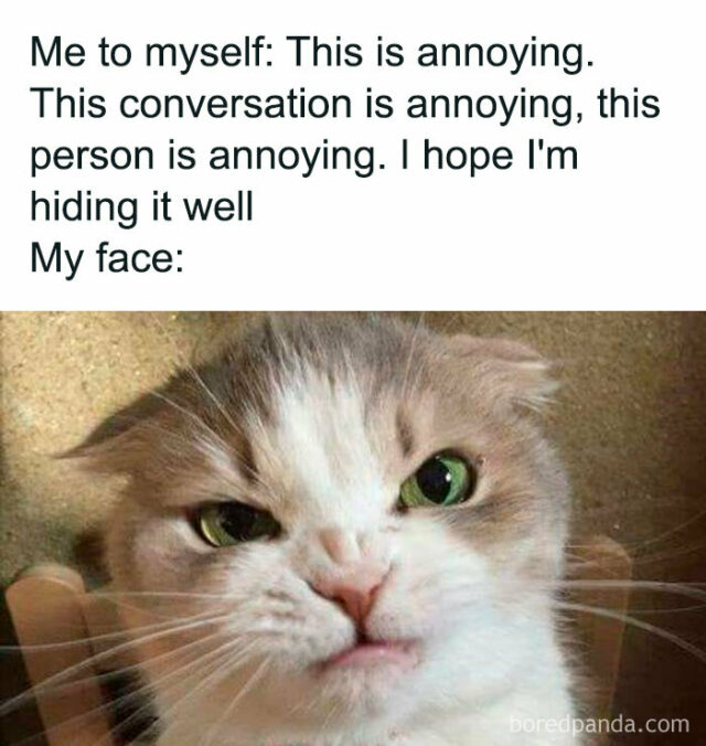 35 Wholesome Animal Memes To Help You Forget About Your Troubles For A ...