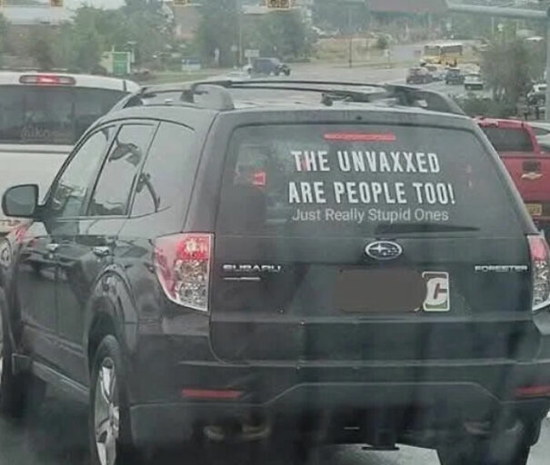35 Unpredictable Bumper Stickers People Did Not See Coming | DeMilked