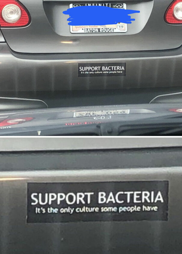 35 Unpredictable Bumper Stickers People Did Not See Coming | DeMilked