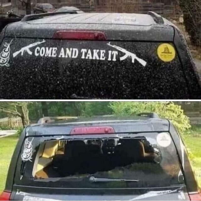 35 Unpredictable Bumper Stickers People Did Not See Coming | DeMilked