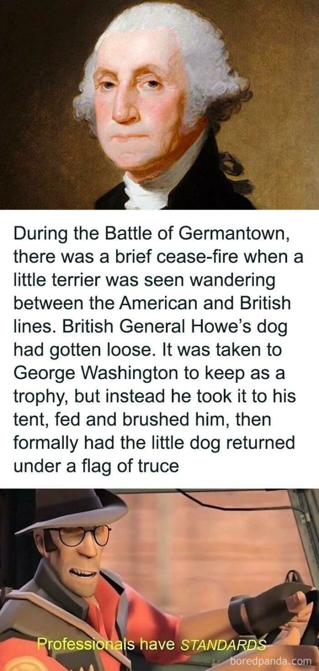 35 Of The Funniest Historical Memes | DeMilked