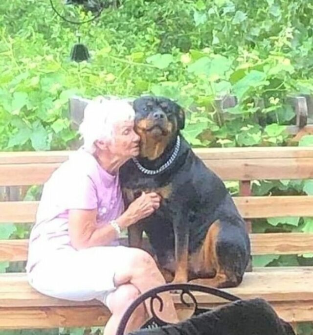 35 Strange Posts That Look Weirdly Funny | DeMilked