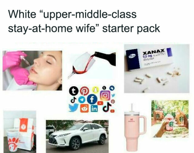 25 Unhinged ‘Starter Packs’ That Roast All Types Of Humans | DeMilked