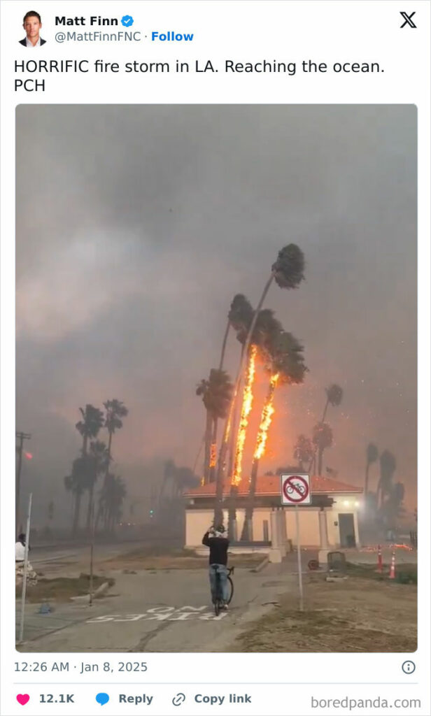 25 Terrifying Photos From LA’s Biggest Firestorm | DeMilked