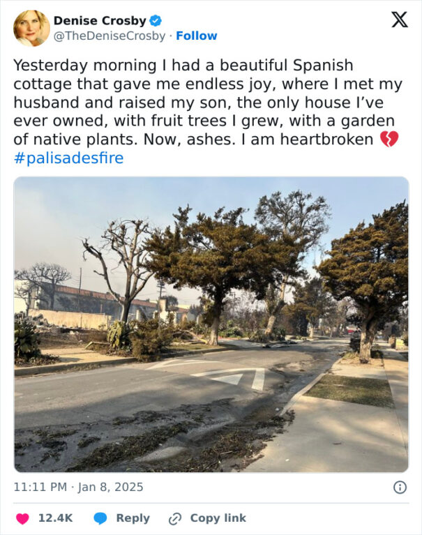 25 Terrifying Photos From LA’s Biggest Firestorm | DeMilked