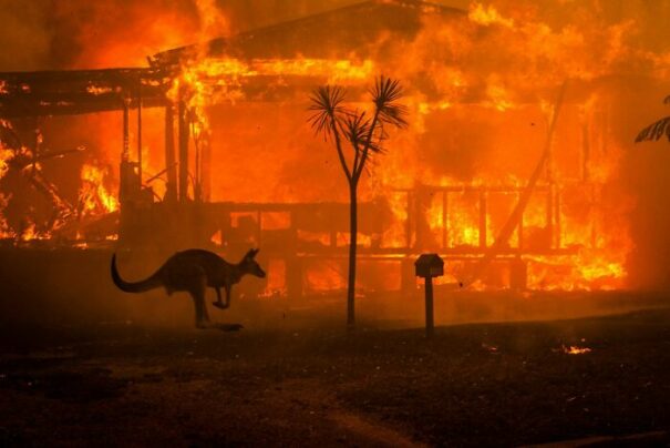35 Photos Displaying The Resilience Of Humans In The Face Of Disaster ...
