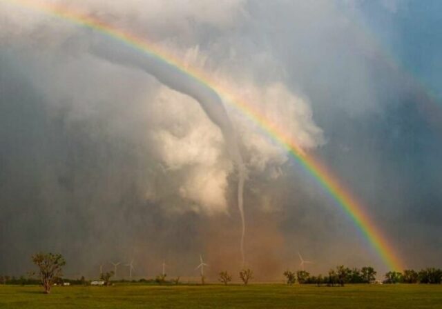 35 Photos Displaying The Resilience Of Humans In The Face Of Disaster ...