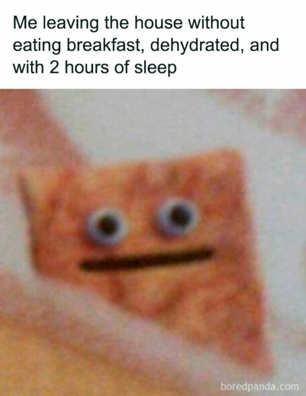 25 Memes To Amuse Yourself While Procrastinating | DeMilked