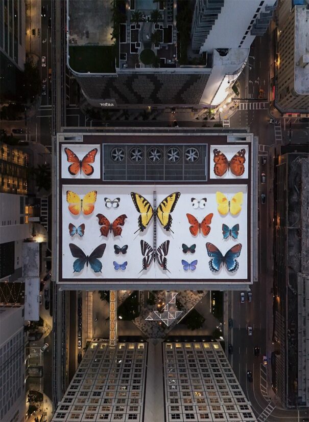 Artist Draws Stunning Giant Mural Of Butterflies On Miami Rooftop | DeMilked