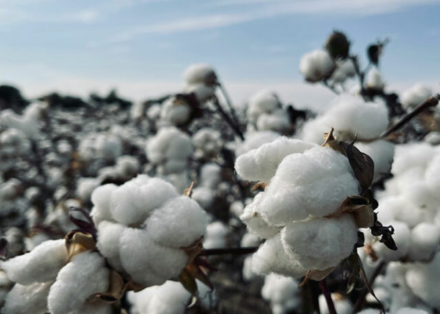 25 Questionable Baby Names That Made People Feel Angry With The Parent ...