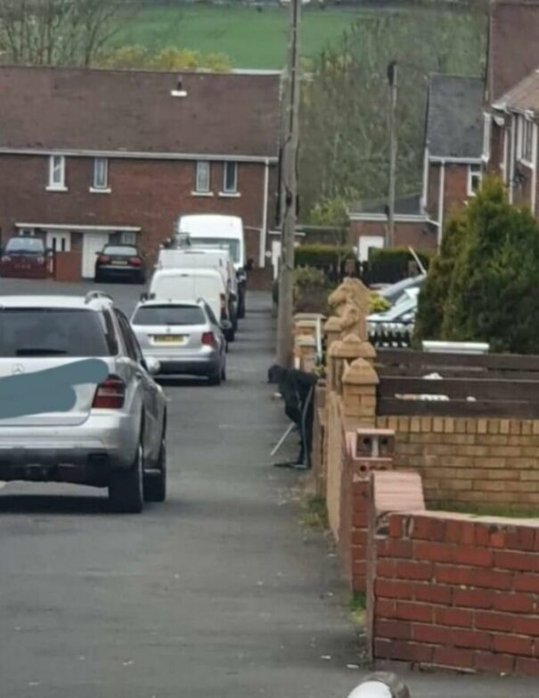 35 Funny Misunderstanding Fails That Are Embarrassingly Hilarious ...