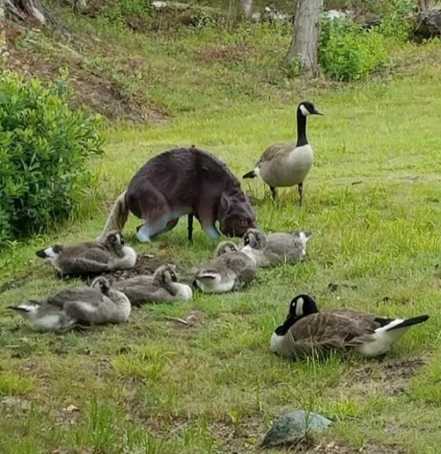 35 Funny Misunderstanding Fails That Are Embarrassingly Hilarious ...