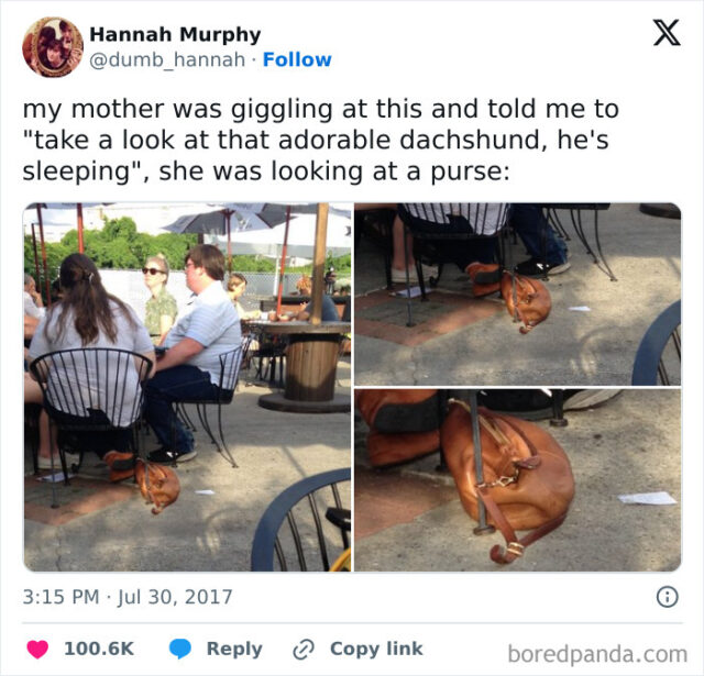 35 Funny Misunderstanding Fails That Are Embarrassingly Hilarious ...