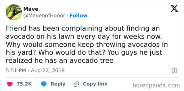 35 Funny Misunderstanding Fails That Are Embarrassingly Hilarious ...