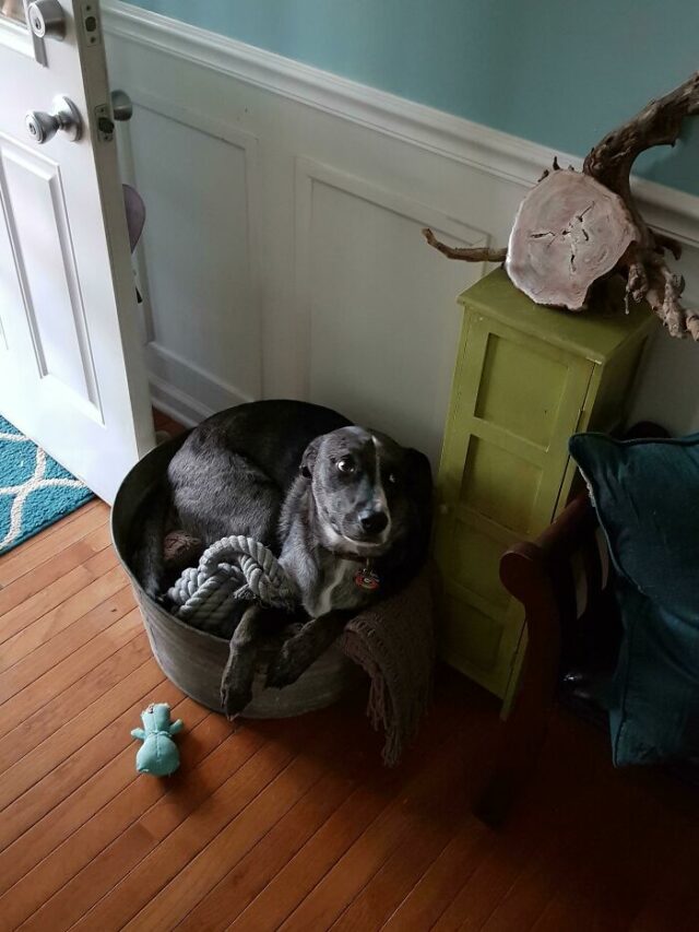 35 Funny Misunderstanding Fails That Are Embarrassingly Hilarious ...