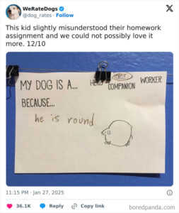 35 Funny Misunderstanding Fails That Are Embarrassingly Hilarious ...