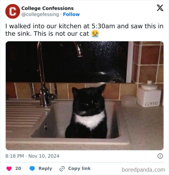 35 “College Confessions” Memes To Tickle Your Funny Bone | DeMilked