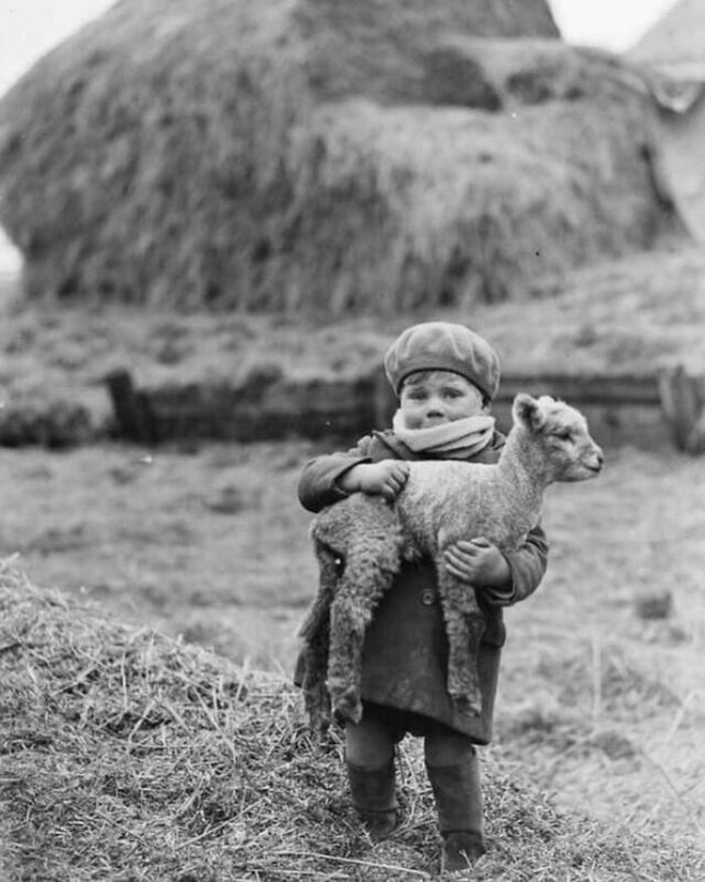 35 Historical Photos Which Illustrate The Daily Life Of Our ...