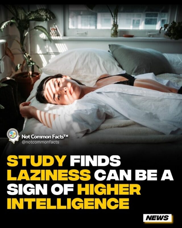 25 “Not Common Facts” That Will Teach You Something New About The World ...