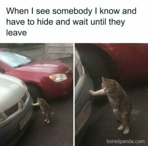 35 Common Uncomfortable Moments Nobody Willingly Admits To Experiencing ...