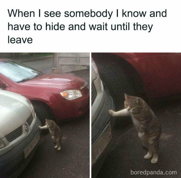 35 Common Uncomfortable Moments Nobody Willingly Admits To Experiencing ...