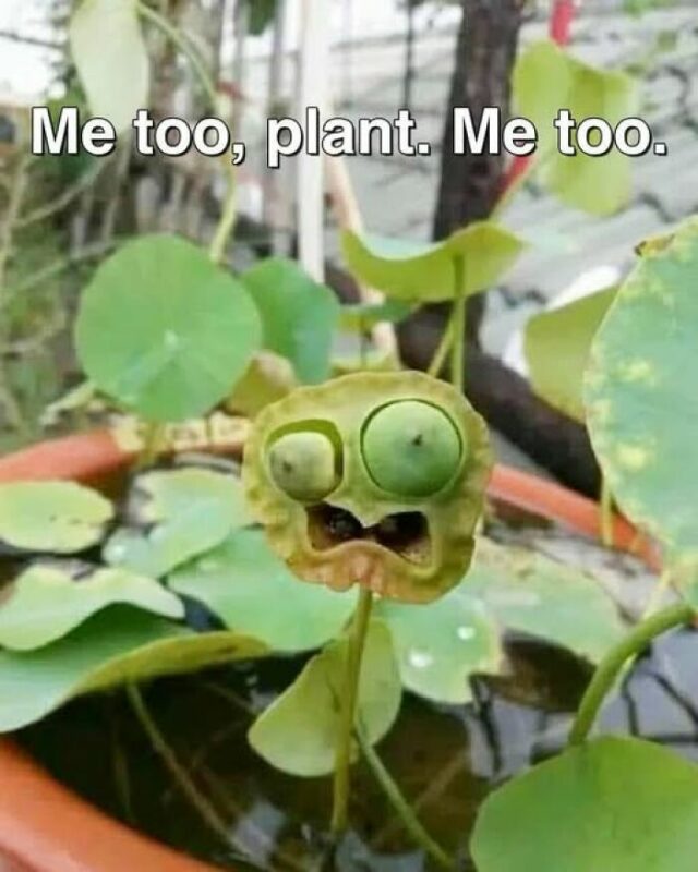 ‘Trust Me, I'm A “Biologist”': 35 Of The Best Memes Found On This ...