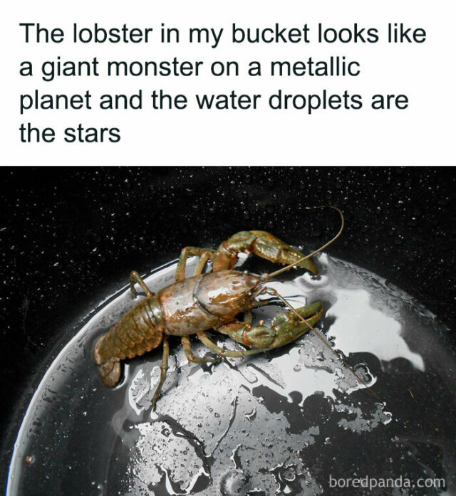 ‘Trust Me, I'm A “Biologist”': 35 Of The Best Memes Found On This ...