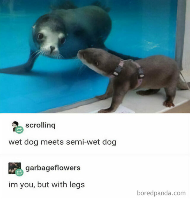 ‘Trust Me, I'm A “Biologist”': 35 Of The Best Memes Found On This ...