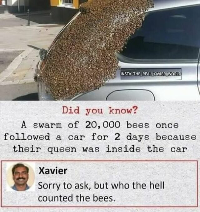 ‘Trust Me, I'm A “Biologist”': 35 Of The Best Memes Found On This ...