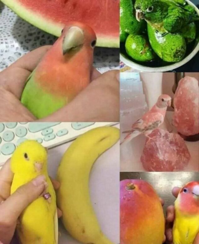 35 Culinary Memes To Make You Laugh Gastronomically | DeMilked