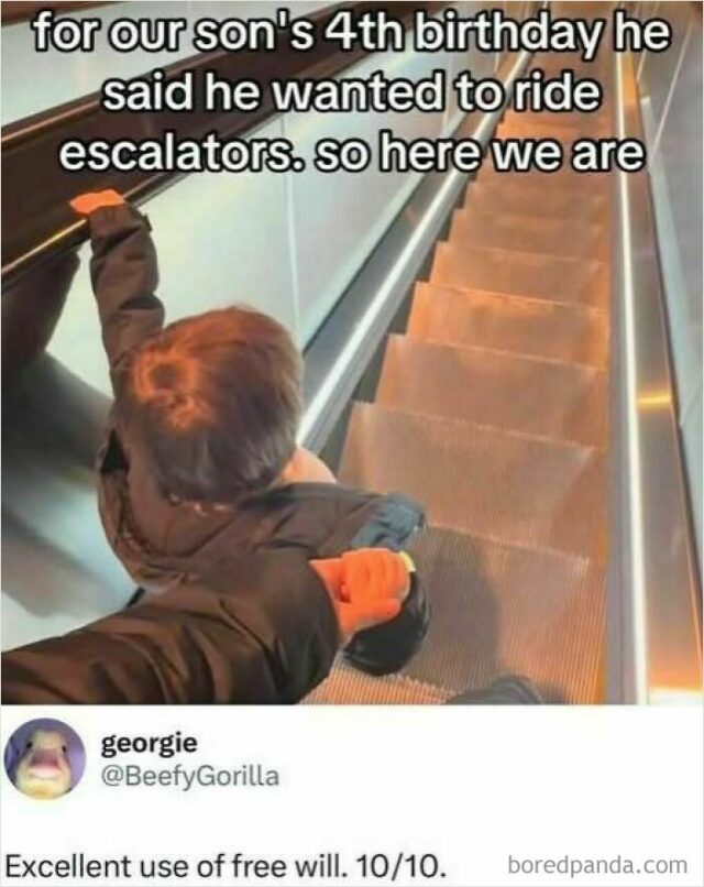 33 Ironic Memes That Mock Anything And Everything | DeMilked