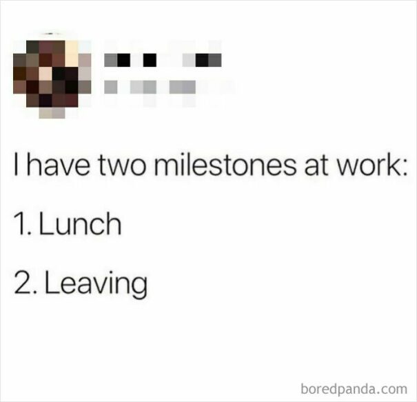 33 Ironic Memes That Mock Anything And Everything | DeMilked