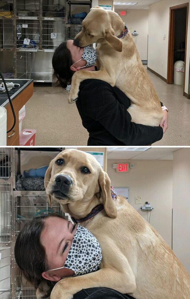 35 Wholesome Animal Photos That May Make You Want A Career As A ...
