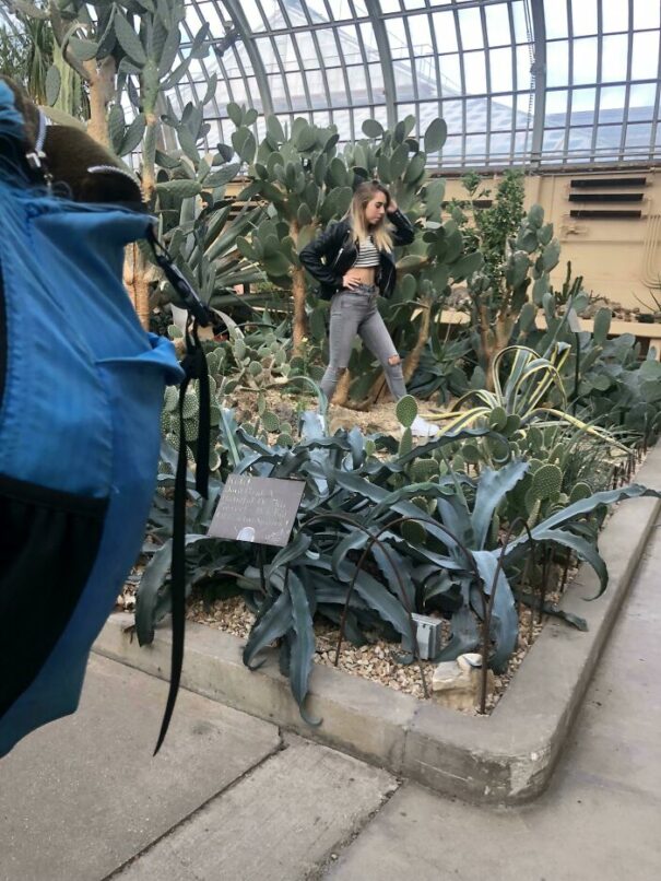 35 Outlandish Examples Of “Influencer Insanity” | DeMilked