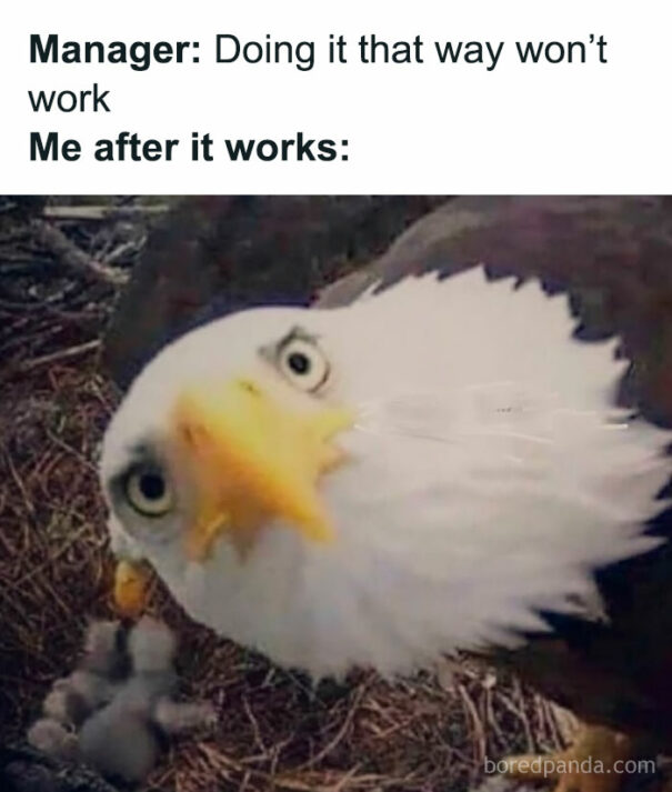35 Funny Memes From The “White Collar Humour" Page | DeMilked
