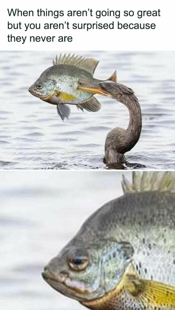 35 Of The Best Memes From The “Cheerful Nihilism” Account | DeMilked