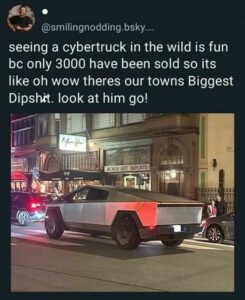 “Cyberstuck”: 25 Honest Takes On Cybertrucks | DeMilked