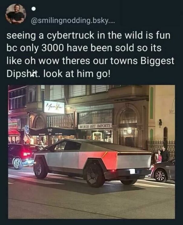 “Cyberstuck”: 25 Honest Takes On Cybertrucks | DeMilked