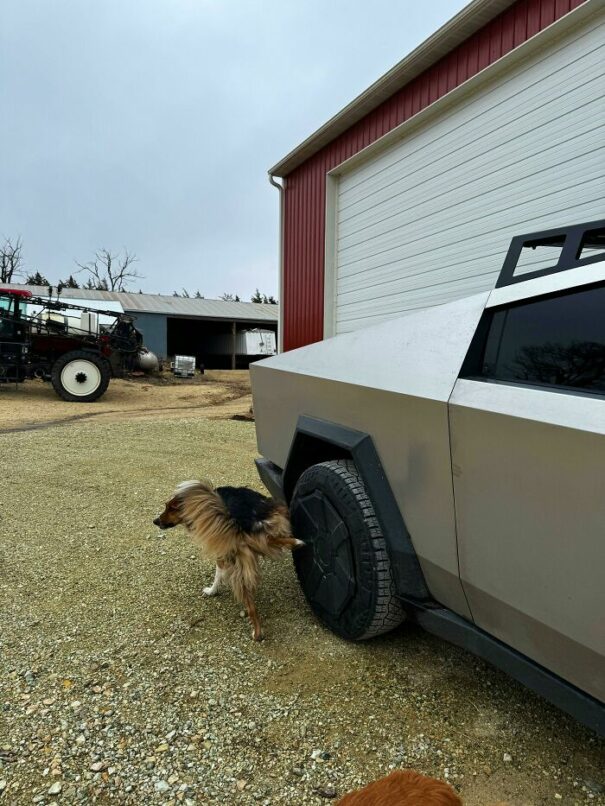 “Cyberstuck”: 25 Honest Takes On Cybertrucks | DeMilked
