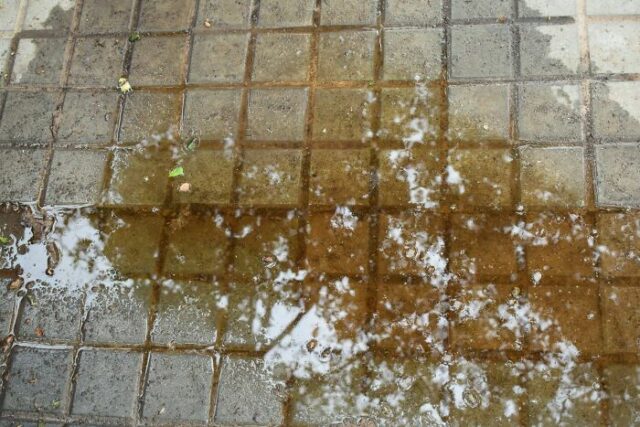 25 Disgusting Acts People Have Been Spotted Committing In Public | DeMilked