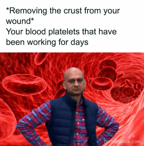 25 Relatable Memes For Anyone Enrolled In Medical School | DeMilked