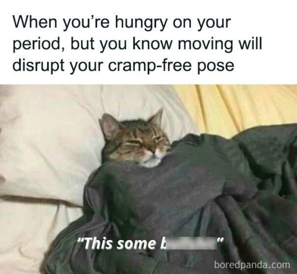 “Why Am I Crying For Everything??”: 25 Relatable Period Memes | DeMilked