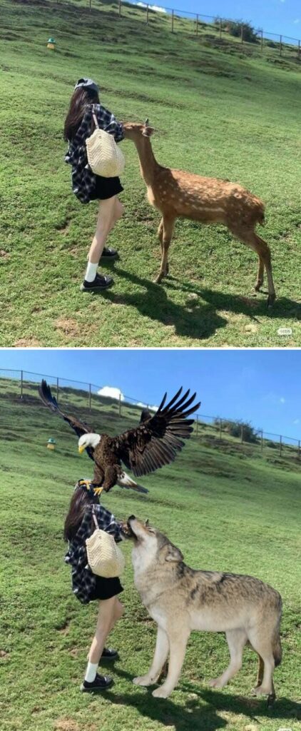 35 Funny Masterpieces Born Of A Photoshop Request | DeMilked